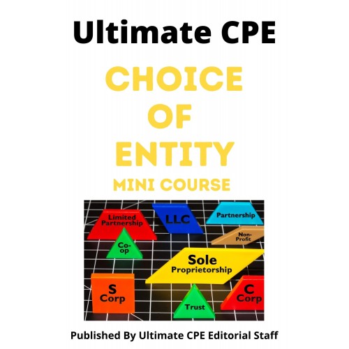 Choice Of Entity 2025 Mini Course