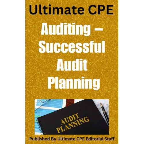 Auditing – Successful Audit Planning 2025