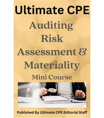 Auditing Risk Assessment and Materiality 2025 Mini Course
